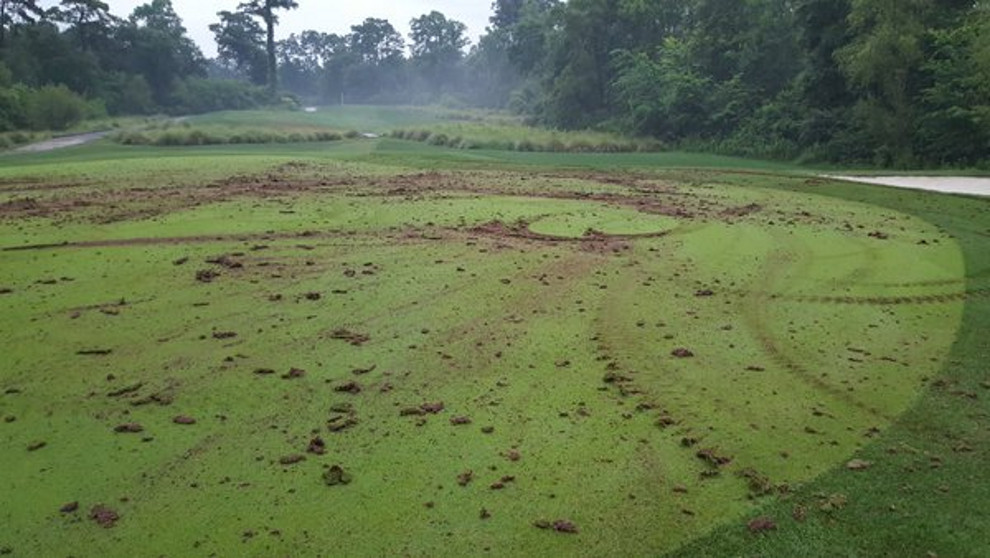 PHOTOS: Shell Houston Open host Golf Club of Houston greens vandalized