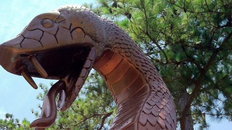 Where is Innisbrook Resort and the 2025 Valspar Championship located?