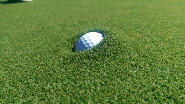 What is the embedded ball rule in golf, and what are the options for ...