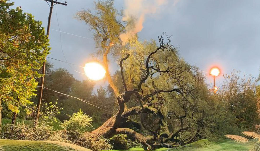 WATCH: Fallen tree leads to electrical fire and explosion on PGA Tour ...