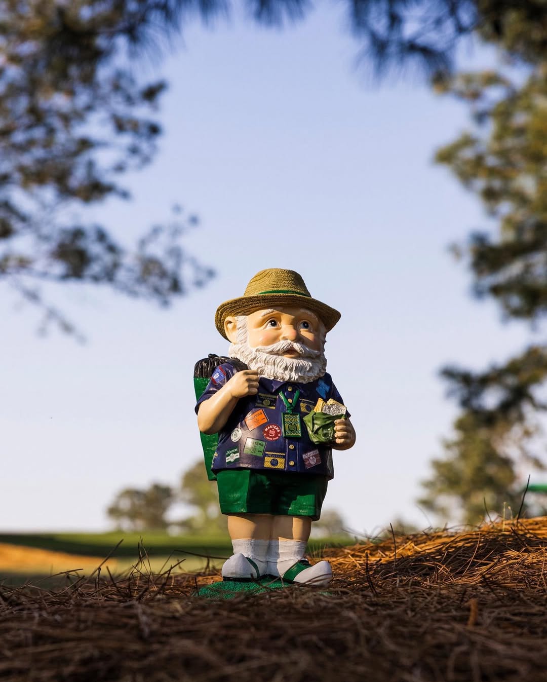 Masters gnomes over the years: Designs from 2016-2026 - Page 6 of 11